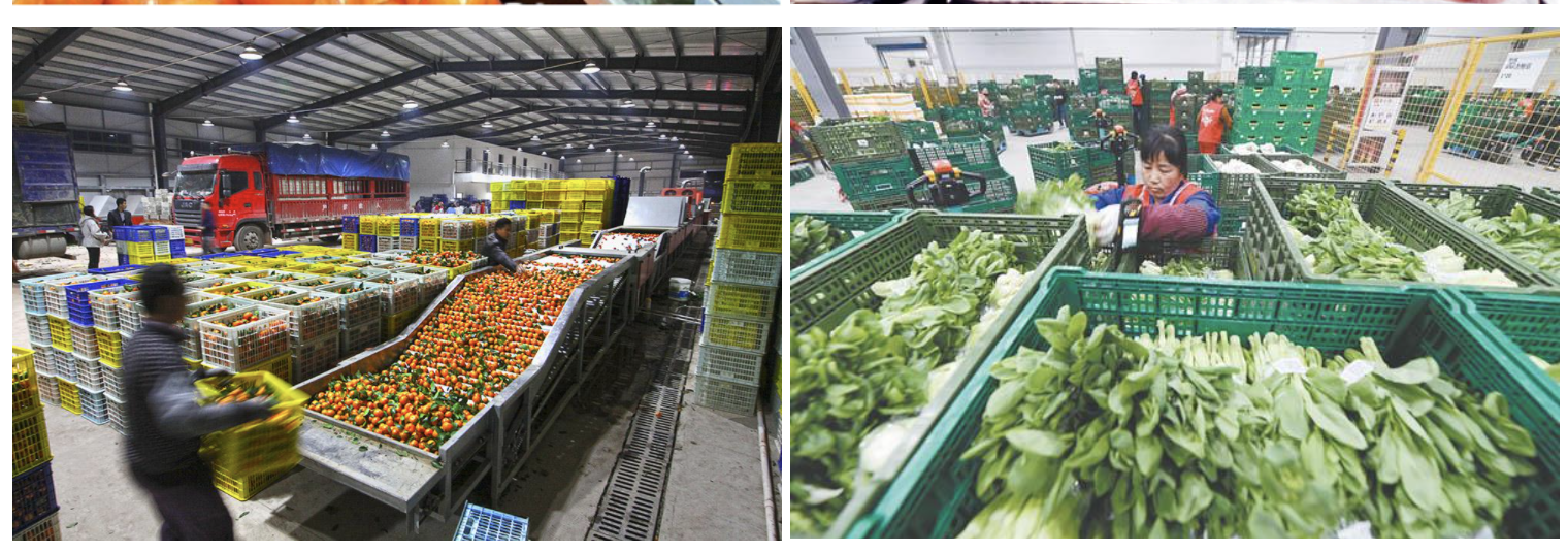 Stackable produce crates, produce crates| High Quality & Factory Price‎