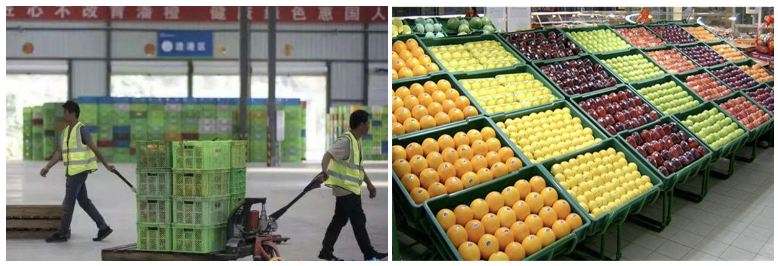 Agricultural plastic crates, Ventilated agricultural containers wholesale